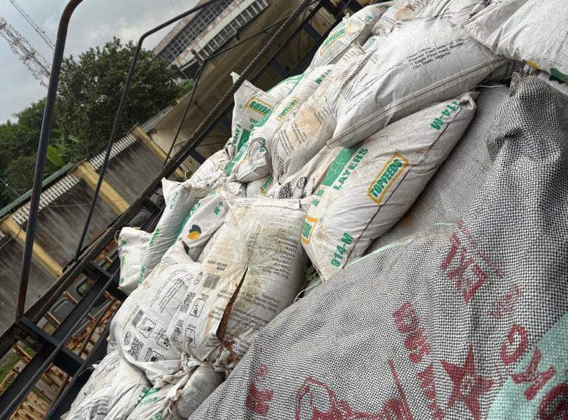 Customs Intercepts Over 2000 Wraps Of Indian Hemp | SocietyNow